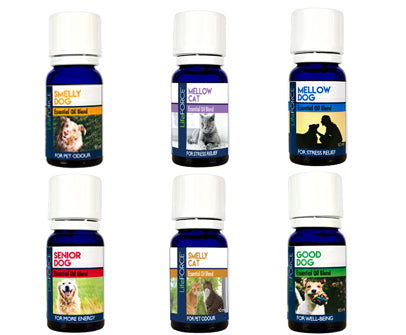 Essential Oil Diffuser and Blend Combo Deal | LifeFORCE Pet Health