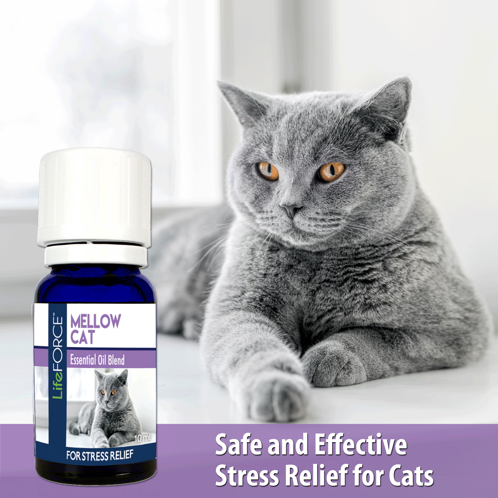 Mellow Cat Essential Oil Blend 10ml | LifeFORCE Pet Health