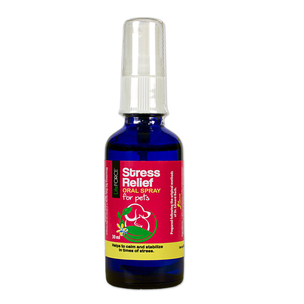 Stress Relief for Pets | LifeFORCE Pet Health